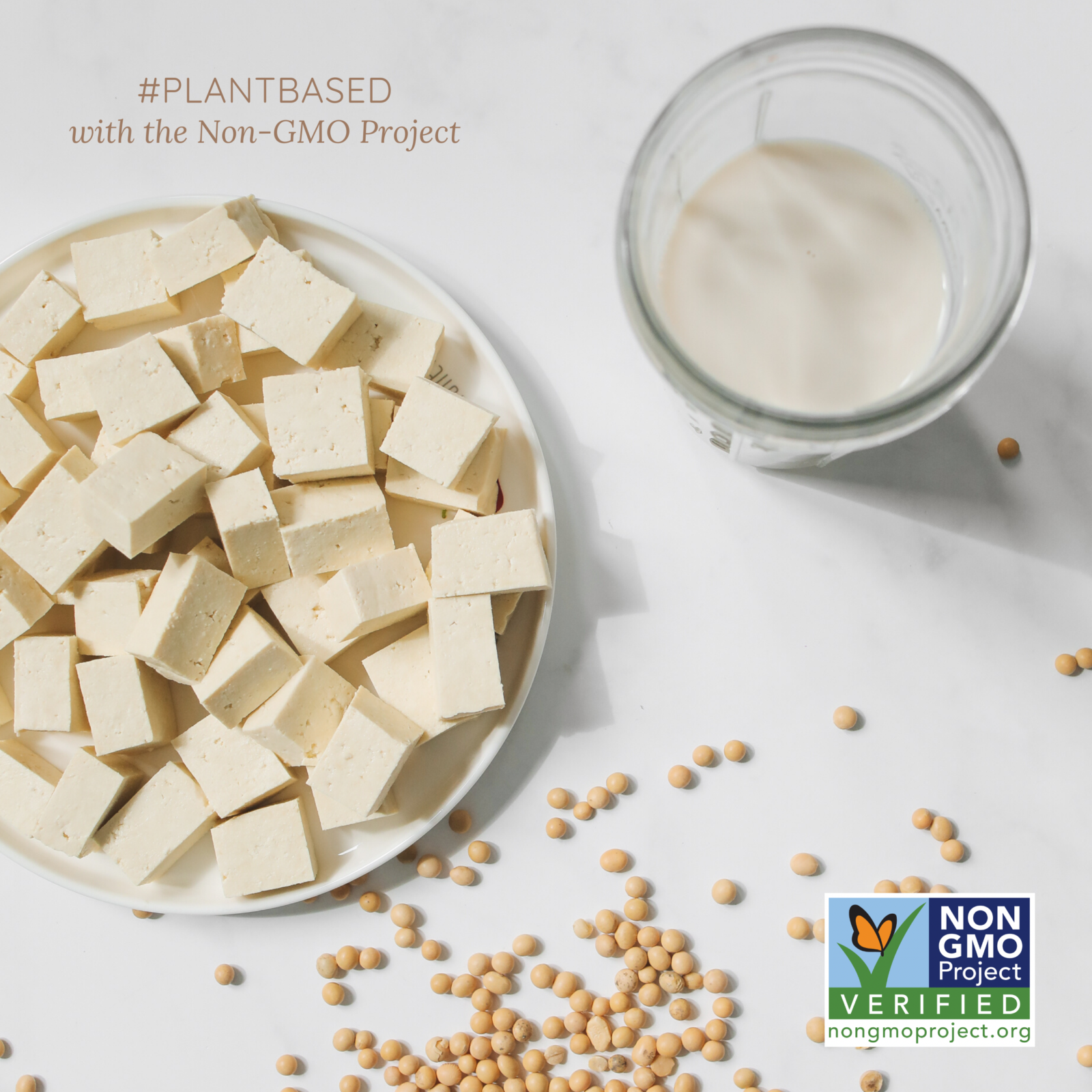 Plants Love the Butterfly - The Non-GMO Project