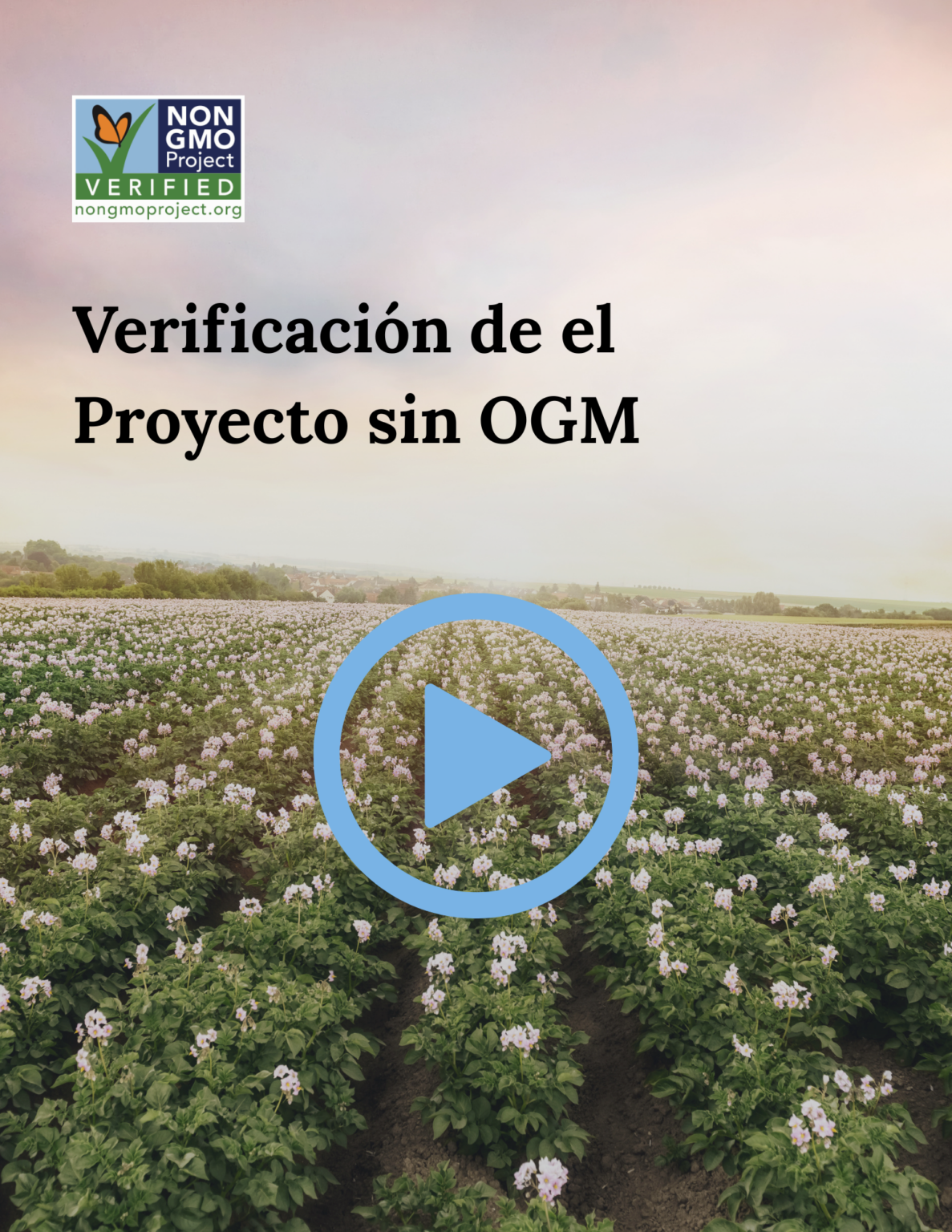 Non-GMO Project Verification 101 - The Non-GMO Project