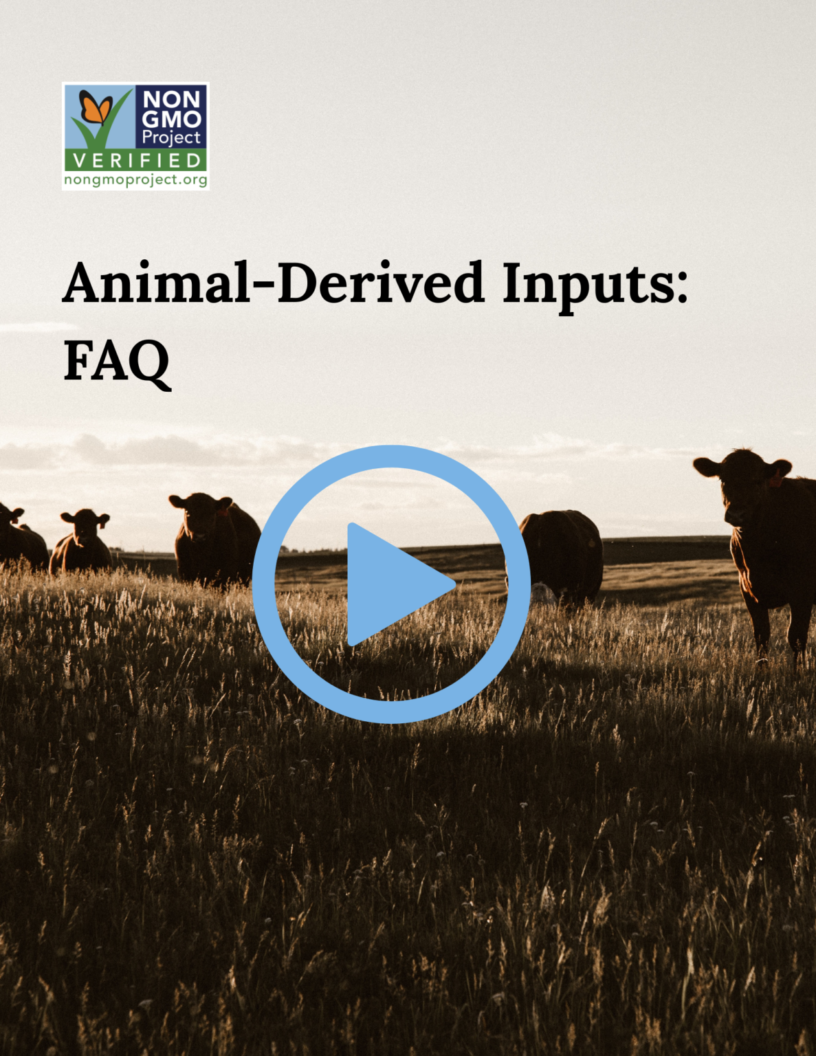 High-Risk Inputs: Examples - The Non-GMO Project