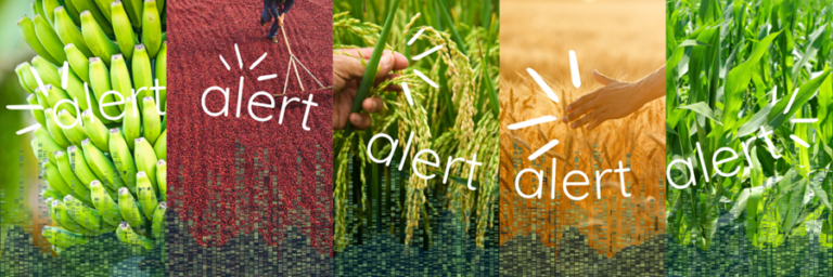 New GMO Alert: Crispr Crops Are Unregulated and Under the Radar - The ...