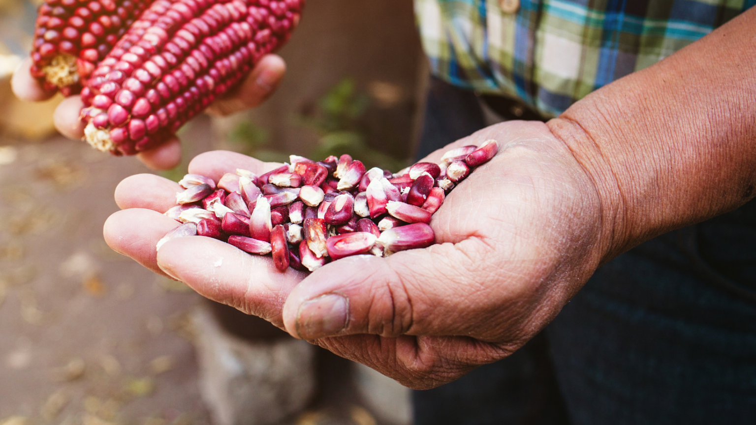 GMO Facts - The Non-GMO Project