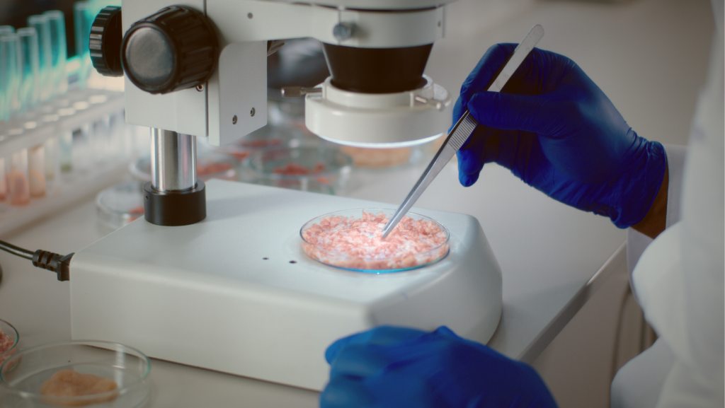 Blog - The Non-GMO Project